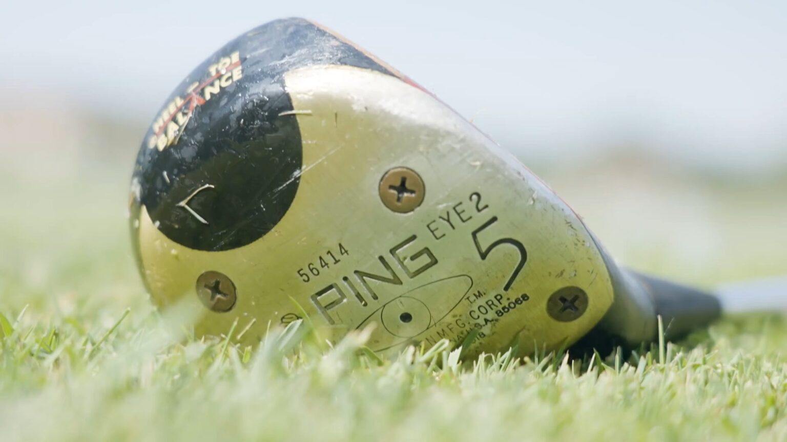 What Length Putter Do I Need? - Maximize Your Putting Potential